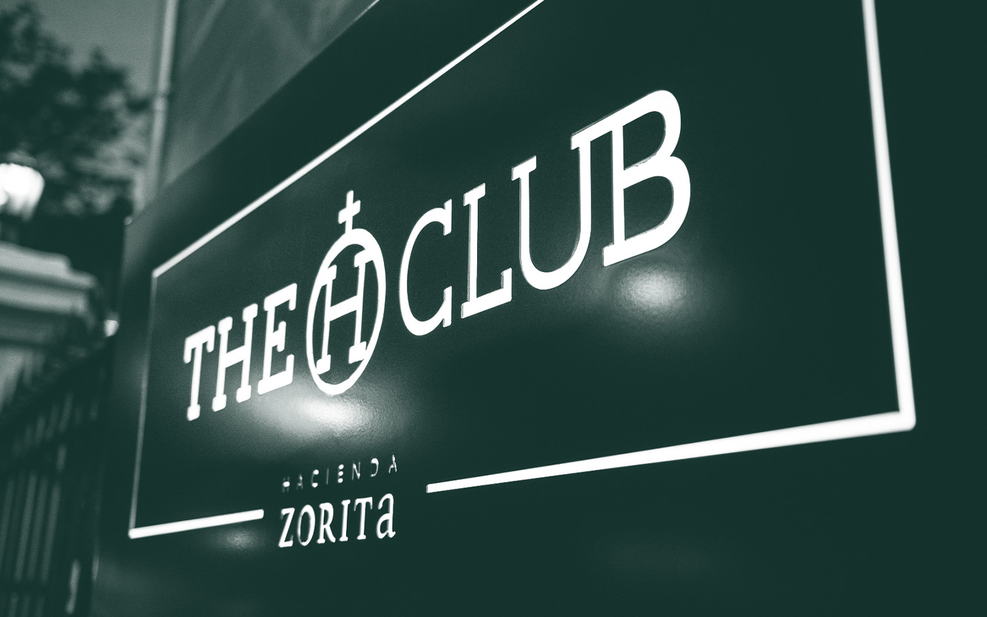 The H Club. El club de la buena vida - Curious